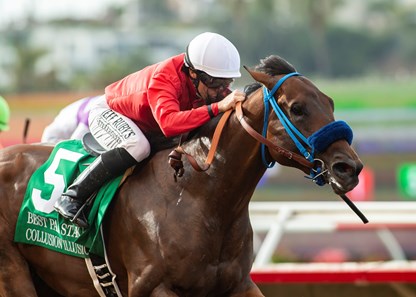 Collusion Illusion - Horse Profile - BloodHorse