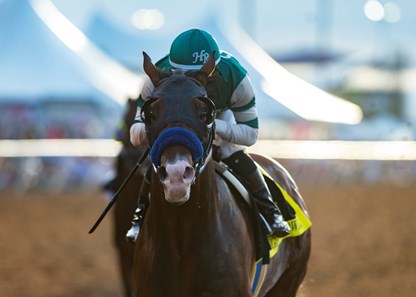 Higher Power - Horse Profile - BloodHorse