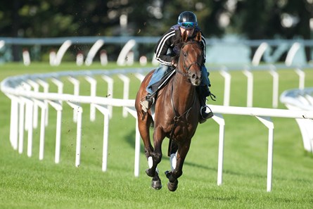 Avie's Flatter - Horse Profile - BloodHorse