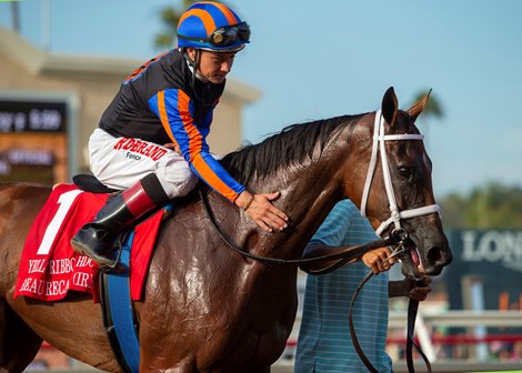 Cox Pair to Make Season Debuts in Mint Julep Stakes - BloodHorse