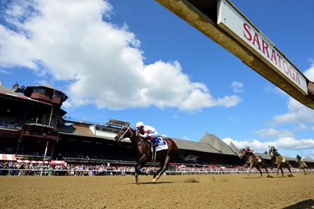 Mitole - Horse Profile - BloodHorse