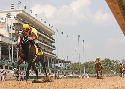 Rachel Alexandra - Horse Profile - BloodHorse