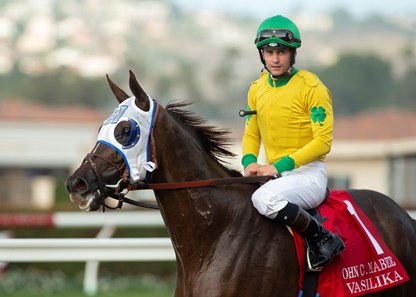 Vasilika - Horse Profile - BloodHorse