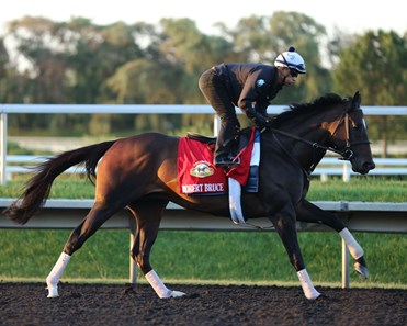 Robert Bruce (CHI) - Horse Profile - BloodHorse