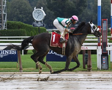 Highest Honors - Horse Profile - BloodHorse