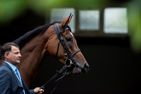 Enable Takes on Three to Defend Title in Yorkshire Oaks - BloodHorse