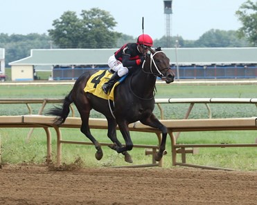 Rowdy Yates - Horse Profile - BloodHorse