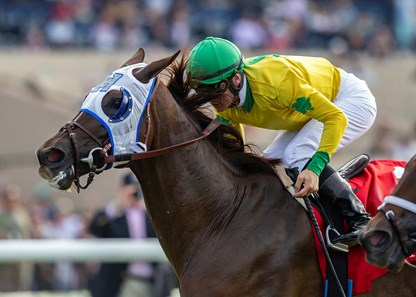 Vasilika - Horse Profile - BloodHorse