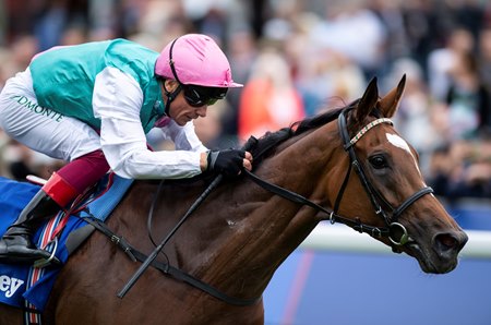 Enable Becomes Highest-Rated Horse in Britain - BloodHorse