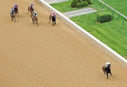 Rachel Alexandra - Slideshow - BloodHorse