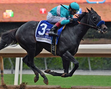 Eight Rings - Horse Profile - BloodHorse