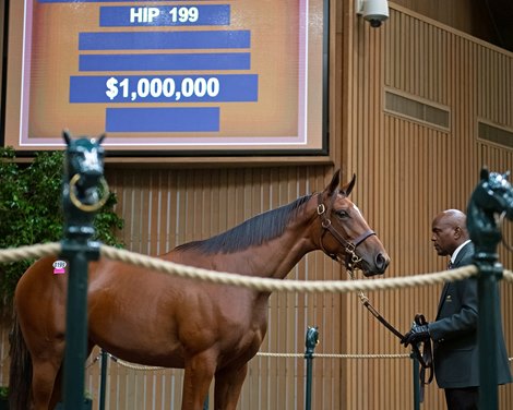Godolphin Strikes Early for Point of Honor Half Sister - BloodHorse