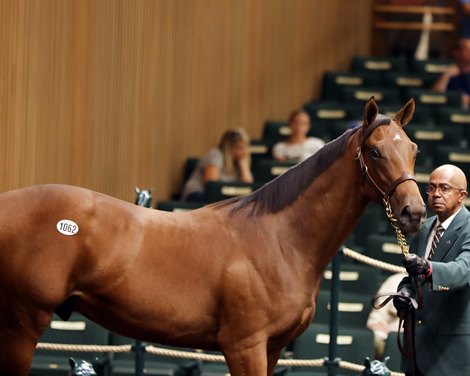 Brace of Candy Ride Colts Boost Day for Winter Quarter - BloodHorse