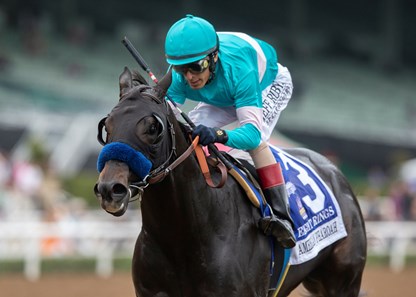 Eight Rings - Horse Profile - BloodHorse