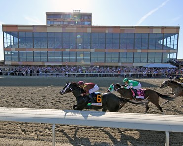 Coal Front - Horse Profile - BloodHorse