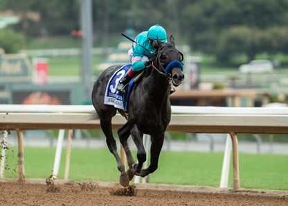 Eight Rings - Horse Profile - BloodHorse