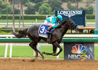 Eight Rings - Horse Profile - BloodHorse