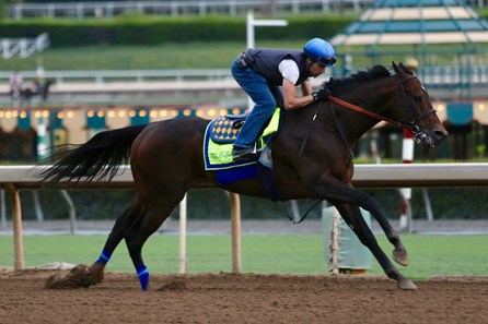 McKinzie - Horse Profile - BloodHorse