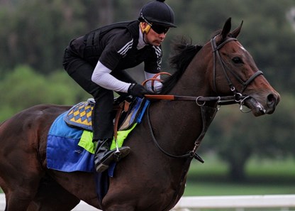 McKinzie - Horse Profile - BloodHorse