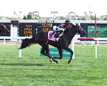 Star of Kodiak - Horse Profile - BloodHorse