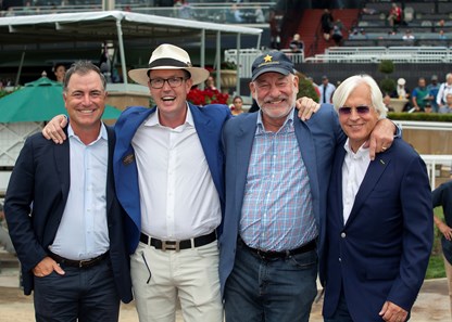 Eight Rings - Horse Profile - BloodHorse