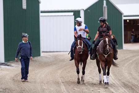 Servis Ponders Maximum Security's Roller Coaster Year - BloodHorse