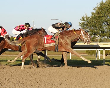 Math Wizard - Horse Profile - BloodHorse