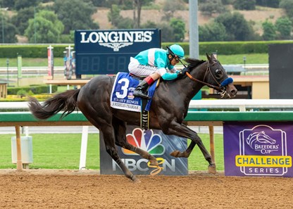 Eight Rings - Horse Profile - BloodHorse