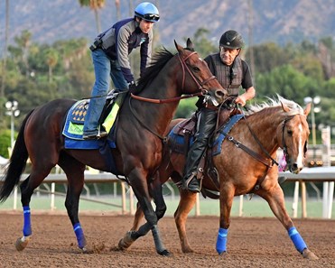 McKinzie - Horse Profile - BloodHorse