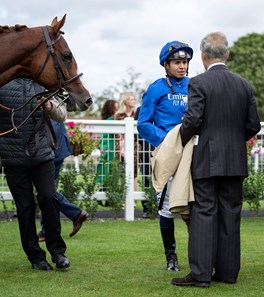 Earthlight (IRE) - Horse Profile - BloodHorse