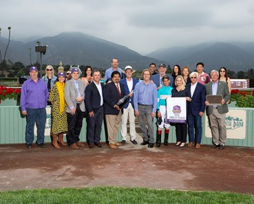 Eight Rings - Horse Profile - BloodHorse