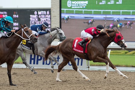 Powell - Horse Profile - BloodHorse