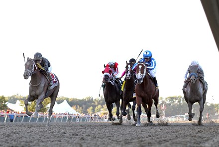 Math Wizard - Horse Profile - BloodHorse