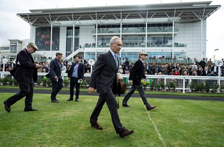 Earthlight (IRE) - Horse Profile - BloodHorse