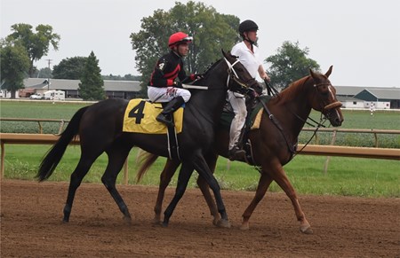 Rowdy Yates - Horse Profile - BloodHorse