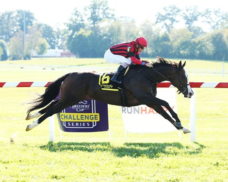 Old Friends Retirement Farm Welcomes Get Western - BloodHorse
