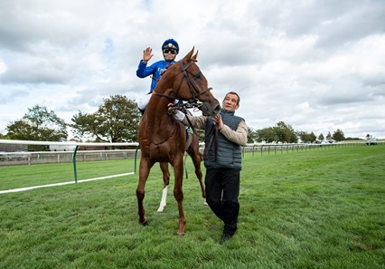 Earthlight (IRE) - Horse Profile - BloodHorse