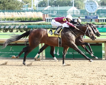 Relentless Dancer - Horse Profile - BloodHorse