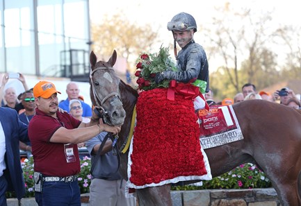 Math Wizard - Horse Profile - BloodHorse