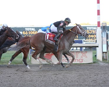 Math Wizard - Horse Profile - BloodHorse