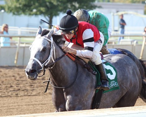 Unbridled Express is Indiana Stallion of the Year - BloodHorse