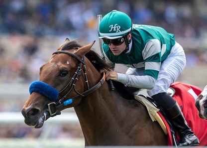 Encoder - Horse Profile - BloodHorse