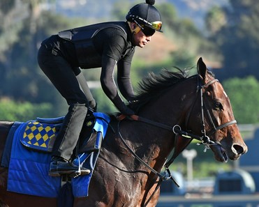 McKinzie - Horse Profile - BloodHorse
