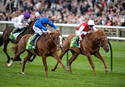 Earthlight (IRE) - Horse Profile - BloodHorse