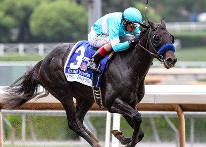 Eight Rings - Horse Profile - BloodHorse