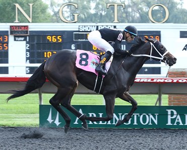 Bean - Horse Profile - BloodHorse