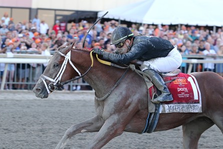 Math Wizard - Horse Profile - BloodHorse