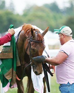 Blue Prize (ARG) - Horse Profile - BloodHorse