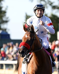 Lady Prancealot (IRE) - Horse Profile - BloodHorse