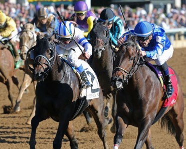 Done Deal - Horse Profile - BloodHorse